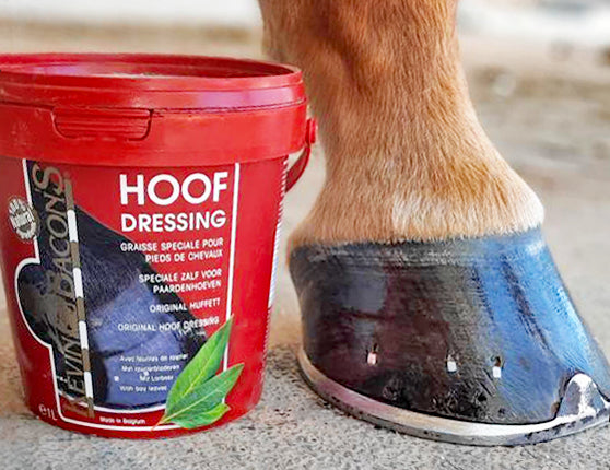 Kevin Bacon Hoof Dressing Original Tub – The Bedding Barn
